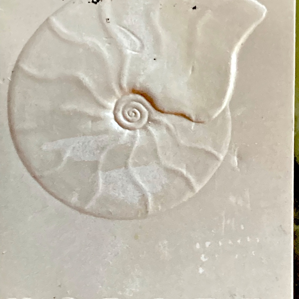 Limited Edition Ammolite Watch From Korite Canada, Vi… - Gem